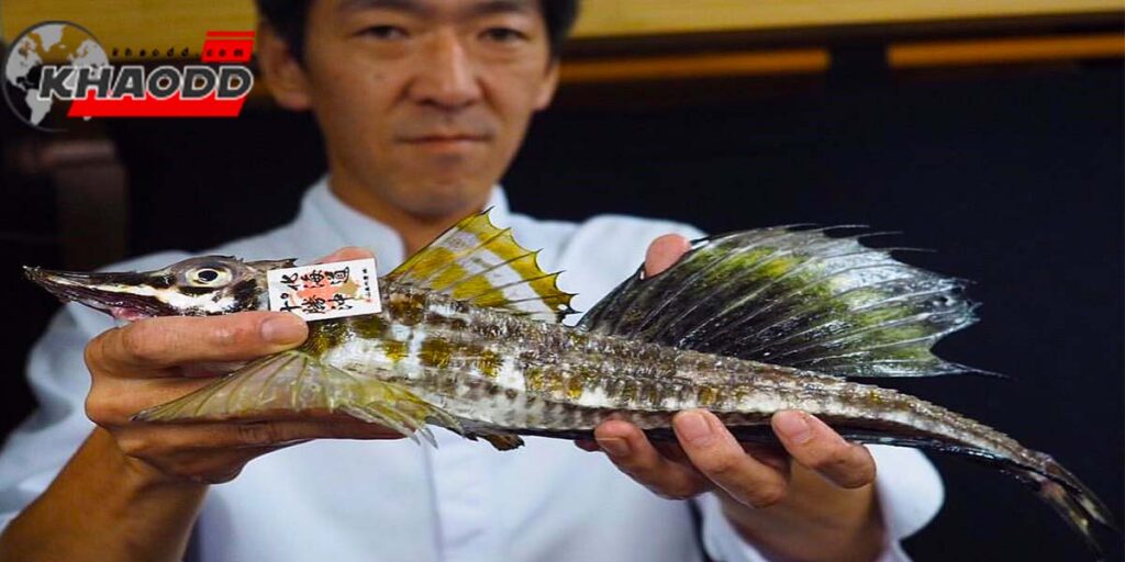 ทำความรู้จักปลาฮักกากุ HAKKAKU ปลาแปลกประหลาดรสชาติประเสริฐ!