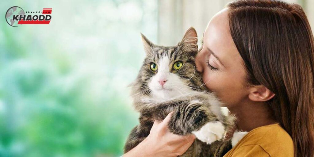 ตลาดอาหารสัตว์เลี้ยง มี 2 บริษัทใหญ่ Mars Petcare,Nestle Purina