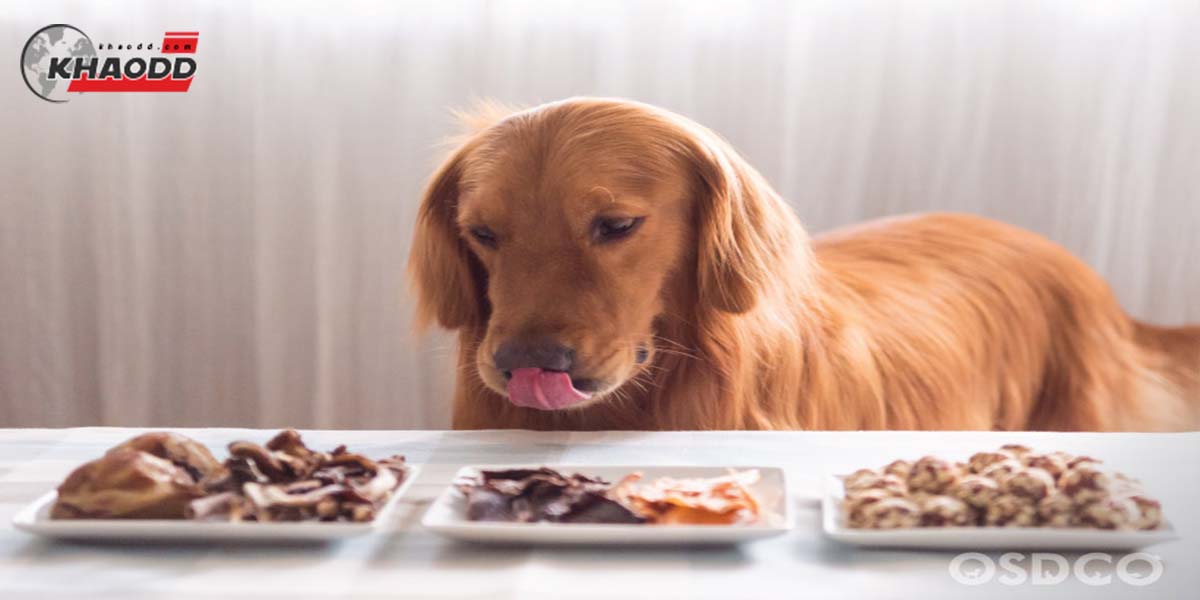 ตลาดอาหารสัตว์เลี้ยง มี 2 บริษัทใหญ่ Mars Petcare,Nestle Purina