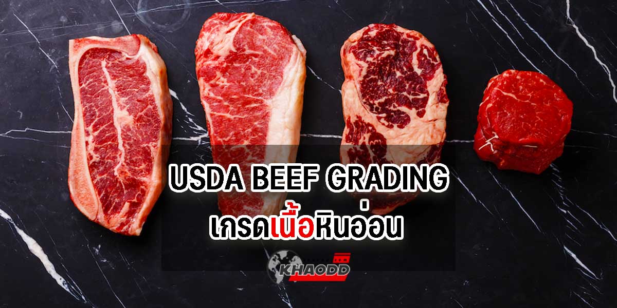 USDA beef grading คุณภาพเนื้อที่มาพร้อมลายหินอ่อน