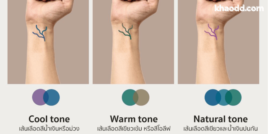 Cool Tone กับ Warm Tone ทำไมต้องรู้ก่อนแต่งหน้าและแต่งตัว?